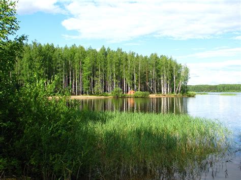 Nature Forest Landscape Free Photo On Pixabay Pixabay
