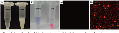 Figure 1 From A Novel High Throughput Assay Enables The Direct