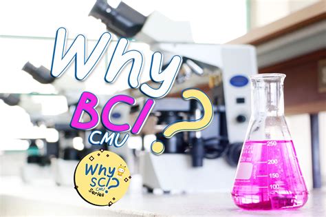 Why Bci Cmu Faculty Of Science Chiang Mai University