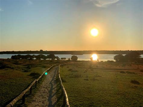 Ruta por la Dehesa de Abajo hogar de las cigüeñas blancas