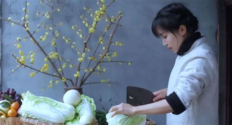 曾经做过夜店dj的李子柒，到底有什么魅力影响千万中外网友？视频