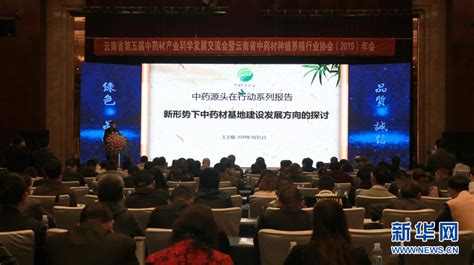 云南省第五届中药材产业科学发展交流会在腾冲举行国家旅游地理探索自然 传播人文 愉悦身心