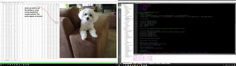 Qpixmap In A Qtableview Cell Qt Forum