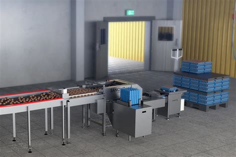 Farmpacker 40 Compact Egg Packer Machine For Small Farms Sanovo