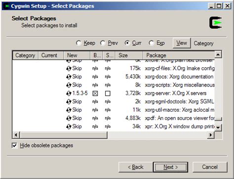 setting up cygwin x