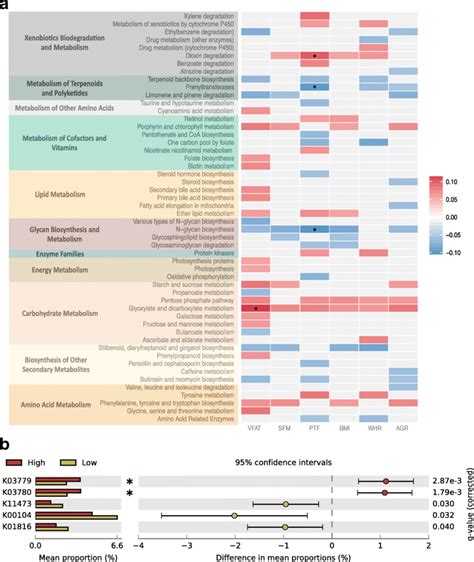 Microbial Functional Analysis In Obesity A Microbial Picrust Predicted
