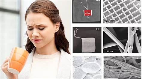 Tea Bags And Dangerous Microplastics Youtube Music