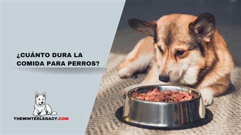¿cuánto Dura La Comida Para Perros The Winter Legacy