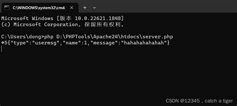 Android之 Phpandsocket实践php Socket 服务器启动 Csdn博客
