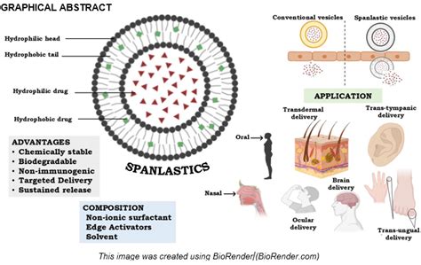 Unleashing The Potential Of Spanlastics As Drug Delivery Carrier