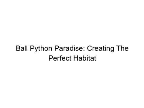 Ball Python Paradise Creating The Perfect Habitat The Paw Folk