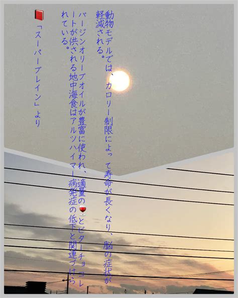 12月8日金 ☀️1530現在気温16℃ 440起床。 アルツハイマー病を回避するために自分ができることについて本を読んで考えた