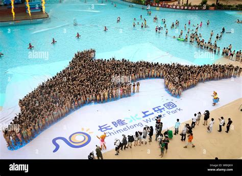 Girls Wearing Bikinis Form A Dolphin Like Shape To Celebrate Summer At