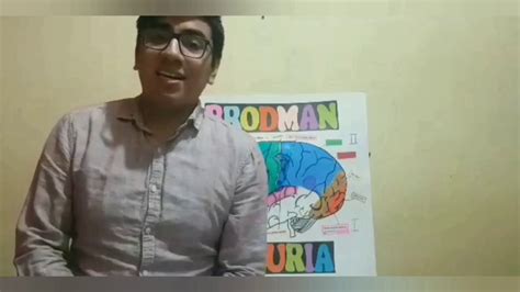 El Cerebro Áreas de Brodmann y Luria YouTube