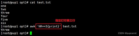 “linux文本三剑客”中的awk命令awk打印连续2行 Csdn博客
