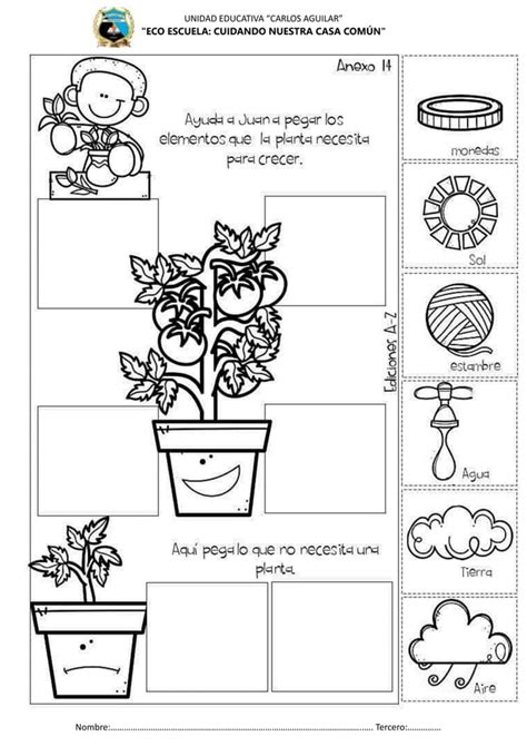 Hojas De Trabajo Sobre Plantas Para Trabajar En Clase PPT