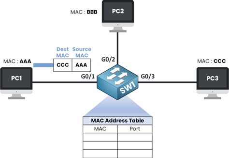 how does a switch learn mac addresses