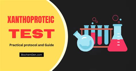 Xanthoproteic Test Definition Principle Procedure Result Uses