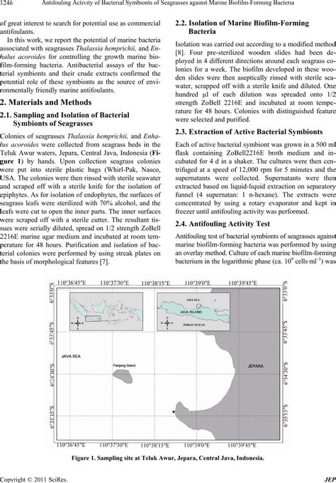 Antifouling Activity Of Bacterial Symbionts Of Seagrasses Against