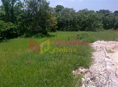 ACRE OF LAND FOR SALE May Day