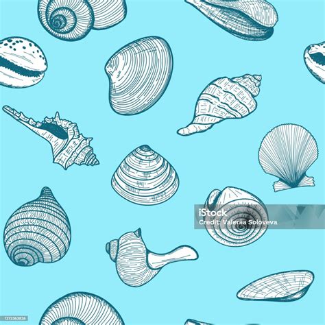 조개 모양의 매끄러운 패턴 파란색 배경에 고립 된 청록색의 둥근 나선형 쉘 컬렉션 손으로 그린 요소의 정사각형 패턴입니다 스케치 벡터 그림입니다 가리비에 대한 스톡 벡터