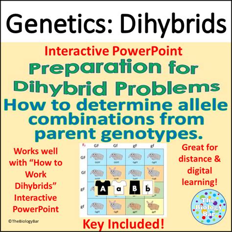 Dihybrid Punnett Squares Introduction Interactive Ppt Made By Teachers