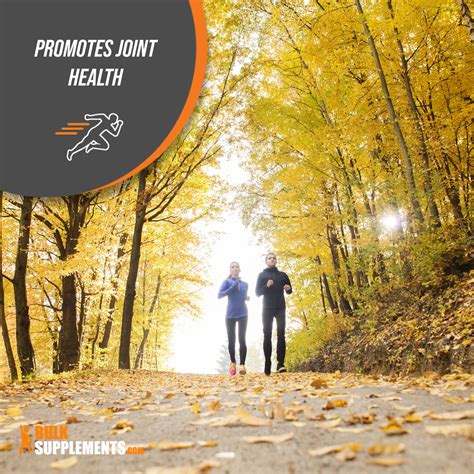 Cissus Quadrangularis Capsules Natural Herbal Supplement