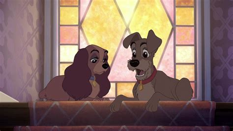 Lady And The Tramp Wallpapers 47 Images Wallpapercat