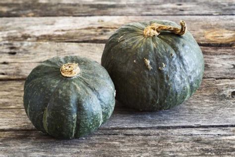 Types Of Squash A To Z Photos Butter N Thyme