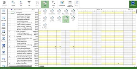 Resource Usage Project Plan 365