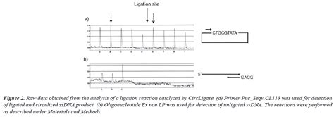 Method Enabling Detection Of Single Stranded Dna Ligation Activity