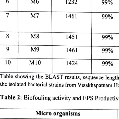 16s R Dna Based Identification Download Scientific Diagram