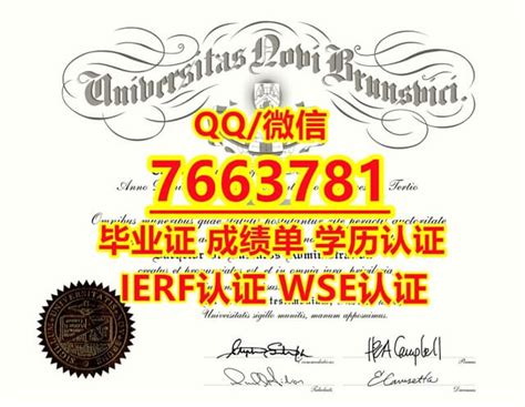 定制unb文凭证书） Ppt