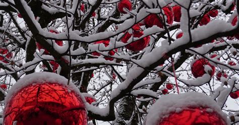 Weiß Wie Schnee Rot Wie Blut Schwarz Wie Ebenholz In Salzburg Stadt