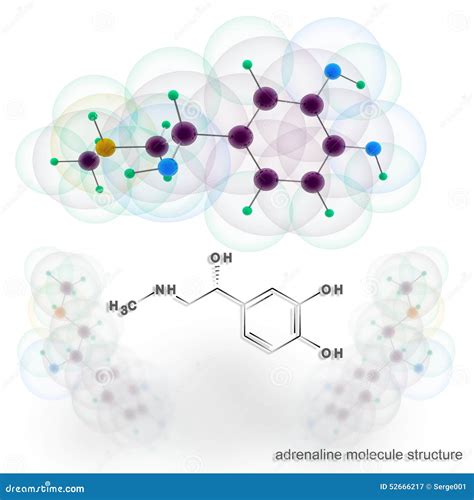Adrenalin Molecule Structure Stock Illustration Illustration Of