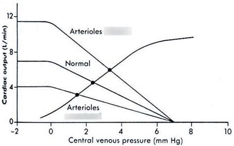 Vasodilation Diagram Quizlet