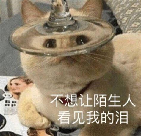 请问可爱的网友们有没有那些很委屈的表情包哭的也行流泪的也阔以要萌一点 知乎