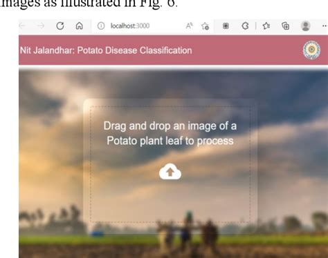 Figure 1 From Early Detection Of Potato Leaf Diseases Using Convolutional Neural Network With