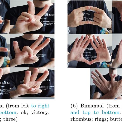 hand landmarks extracted with the mediapipe hands solution obtained