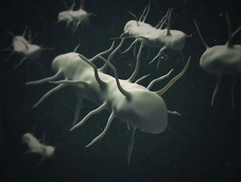 开水烫餐具真的能消毒吗？不烫会有多脏？终于知道答案了澎湃号·政务澎湃新闻 The Paper