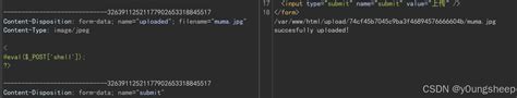 SWPUCTF 2022 新生赛 Ez upload 详细题解 hubuctf 2022 新生赛 ezsql CSDN博客