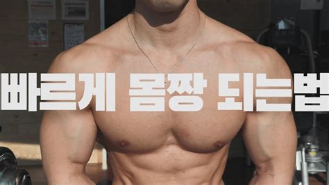 [운동루틴] 근육의 질을 높이는 무분할루틴 노하우 운동자극 웨이트트레이닝 Youtube