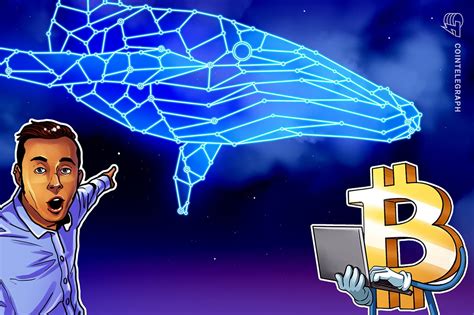 Sleeping Bitcoin Wallet Stirs After Years Moving Over M