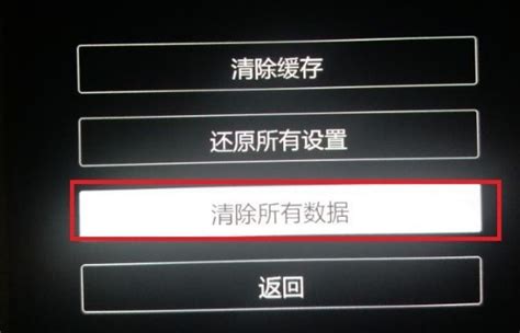 Vivo Recovery