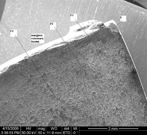 Microscopic Image Of The Fracture Initiation Zone Download Scientific