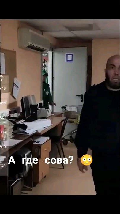 а где сова? 🤣🤣 #shorts #новичок - YouTube