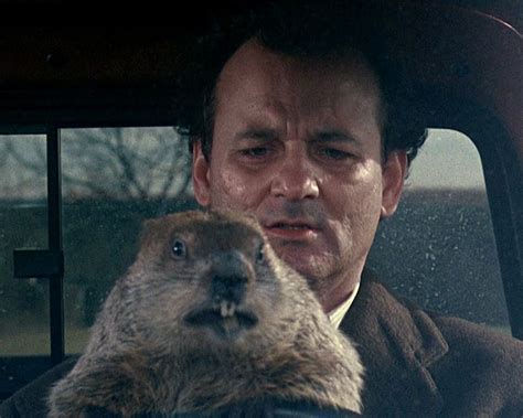 2 De Febrero ¡feliz Día De La Marmota