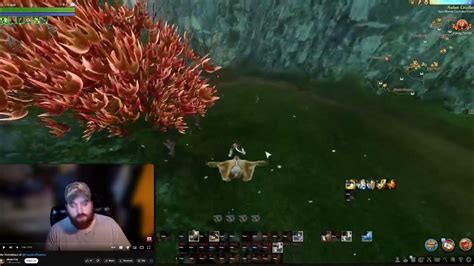 Reacting To Gilded Poos Hopeless Peaches And Lio Convoy Videos While I