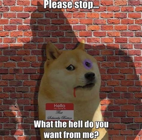 meme梗图 哔哩哔哩