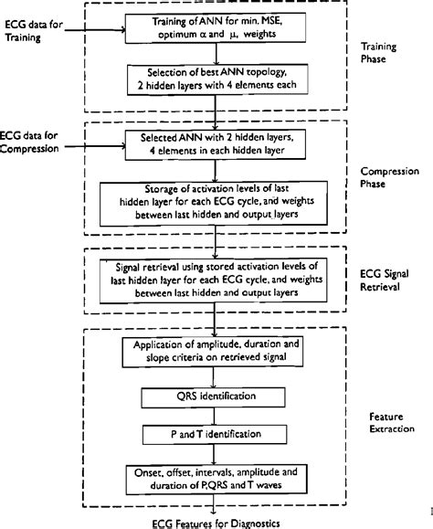 figure 1 from data compression and feature extraction of ecg signals